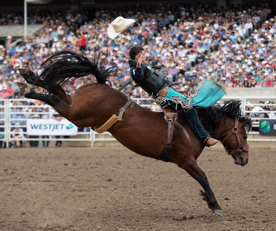 Know About Calgary Stampede: Greatest Outdoor Show On Earth!