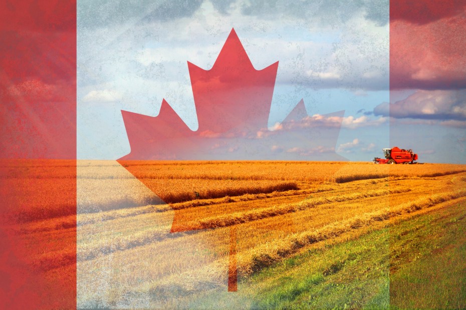Canada Agri-Food Pilot Program - All You Need To Know