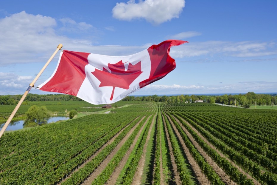 Canada Rural And Northern Immigration Pilot-RNIP Latest Updates