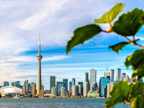 Express Entry Latest Draws 2024 | New Rounds Of Invitations