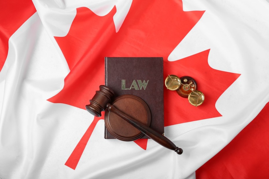 How To Restore Temporary Residence Status In Canada